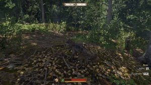 Kingdom Come: Deliverance II. Заблудшая овечка