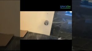 Тион Биоикс