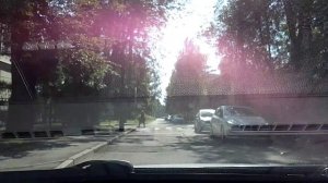 #4350 /25-07-25 г./ По Павловску, ч.3...