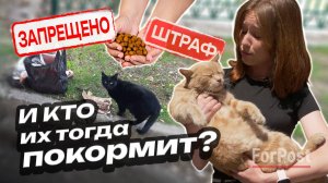 Штрафы за любовь и заботу о животных? — опрос ForPost в Севастополе