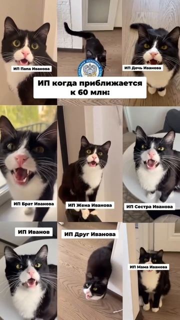 ИП когда приближается к 60 млн