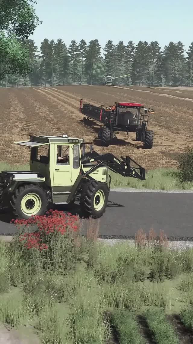 Farming Simulator 25 / Уборка рапса в свал Claas Lexion 8900, MB Trac 1100, MacDon M1240