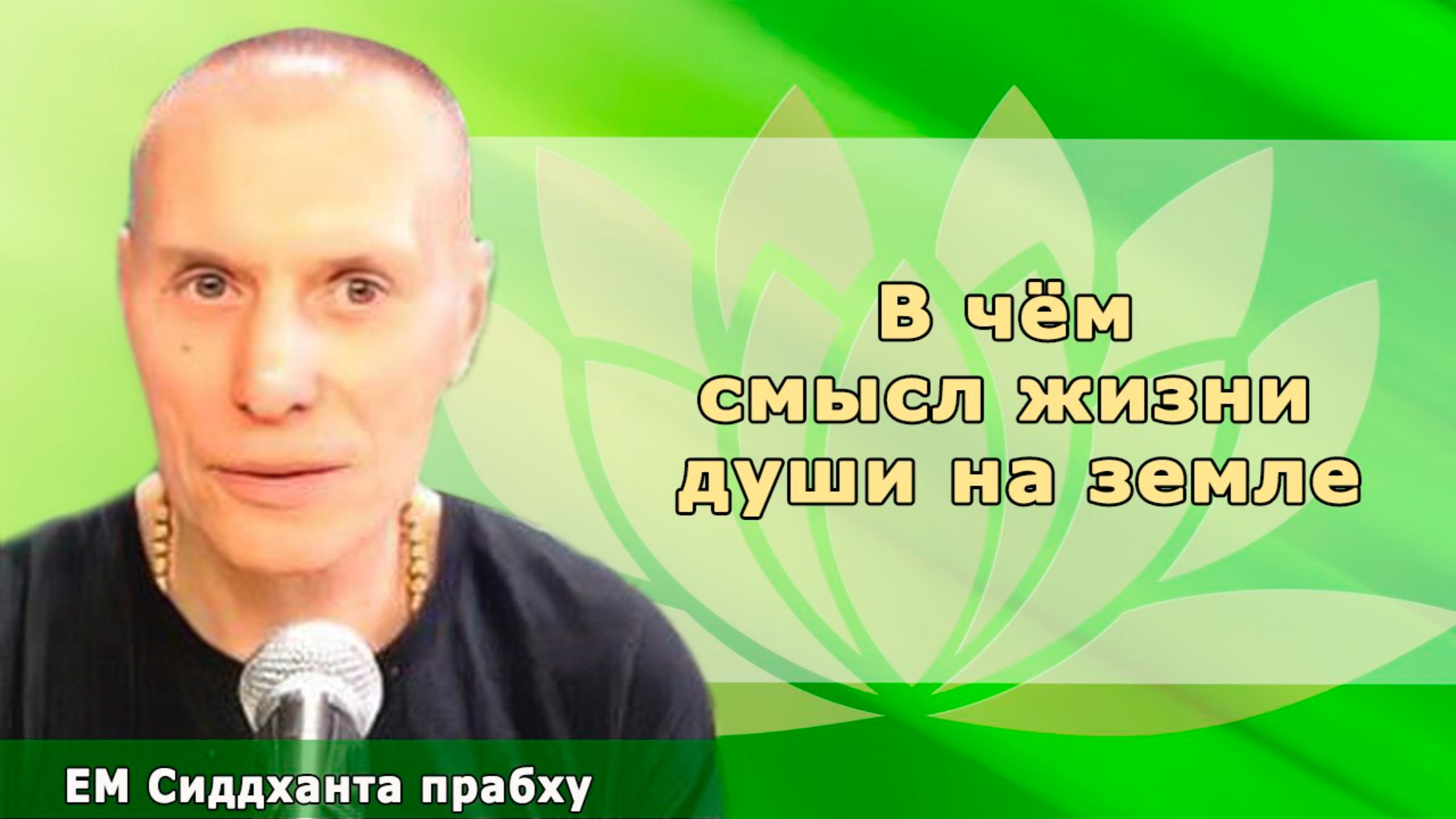 "В ЧЕМ СМЫСЛ ЖИЗНИ ДУШИ НА ЗЕМЛЕ". Лектор Е.М. Сиддханта пр.