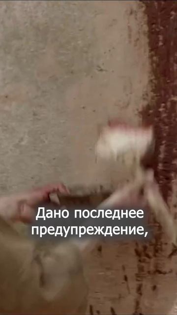 Пасха - Субботняя школа #shorts #адвентист #Библия #Иисус