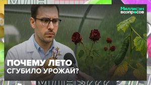 Как ухаживать за огородом?|Миллион вопросов — Москва 24|Контент