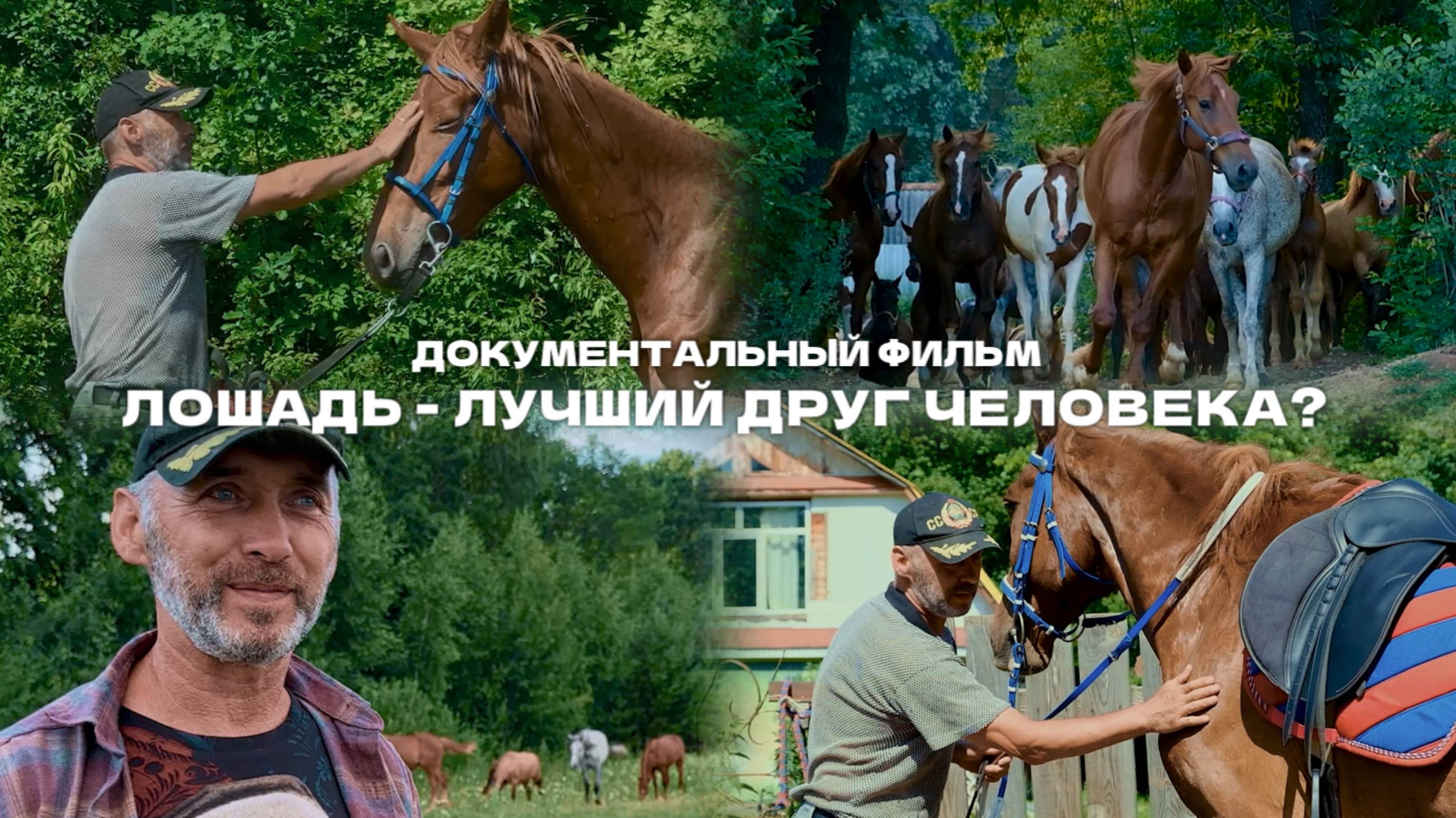 Документальный фильм Валерии Тумилевич "Лошадь - лучший друг человека?"