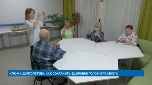 КЛЮЧ К ДОЛГОЛЕТИЮ: КАК СОХРАНИТЬ ЗДОРОВЬЕ ГОЛОВНОГО МОЗГА