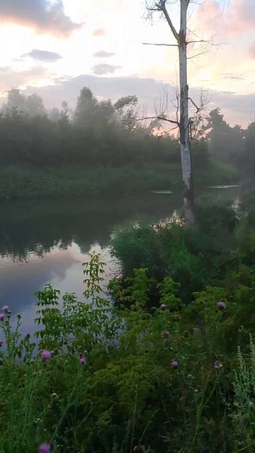 сказочная красота