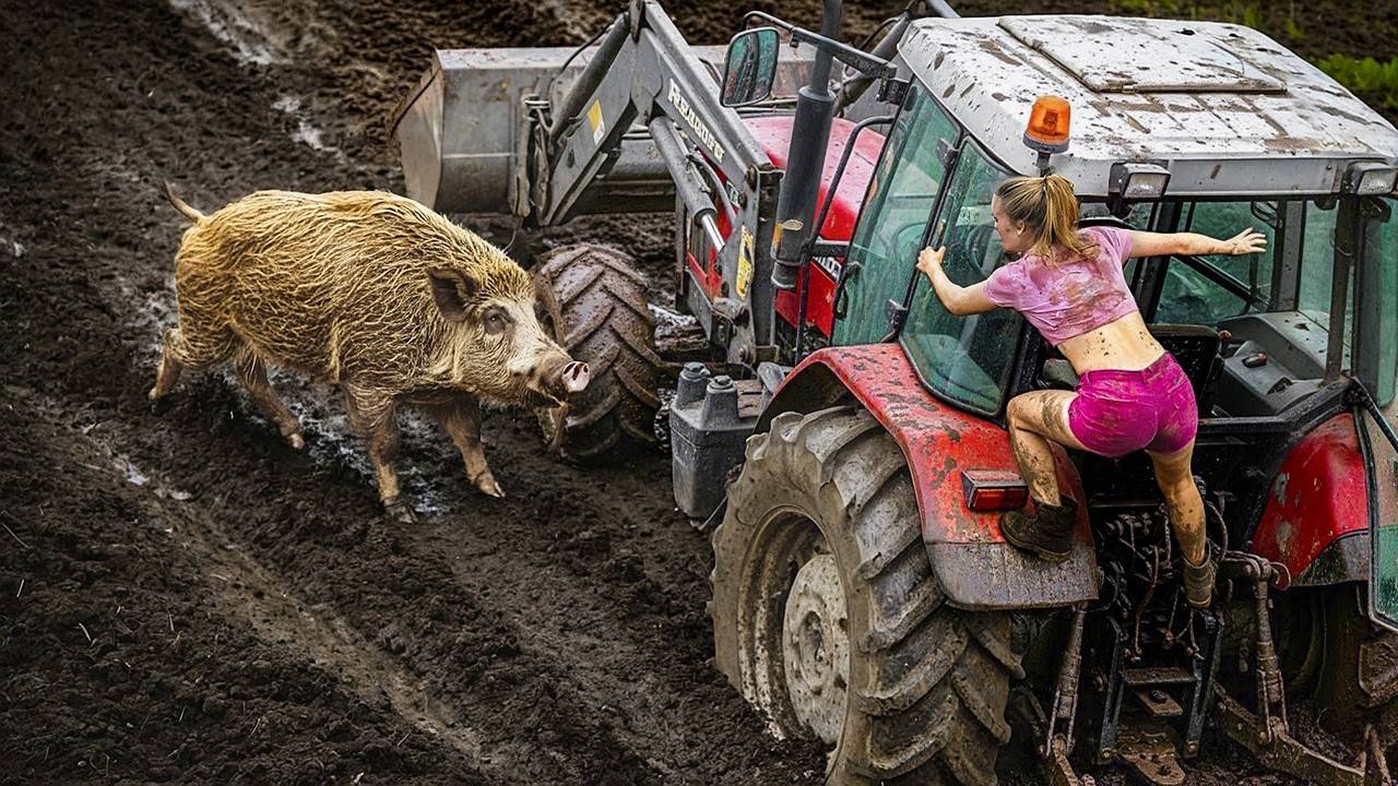 Самые Нелепые Ошибки Рабочих, Снятые на Камеру