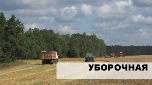 Михайловское-агро