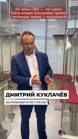 Из зоны СВО – на сцену: театр кошек Куклачёва принял питомцев прямо с передовой