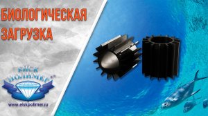 Биологическая загрузка (биозагрузка)