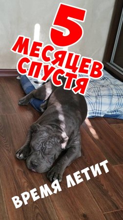 5 месяцев спустя
