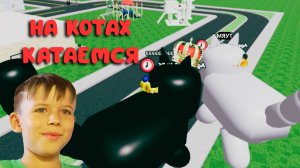 Огромные коты в Roblox! Мы ухаживаем и катаемся на них 😺 | AlekSun