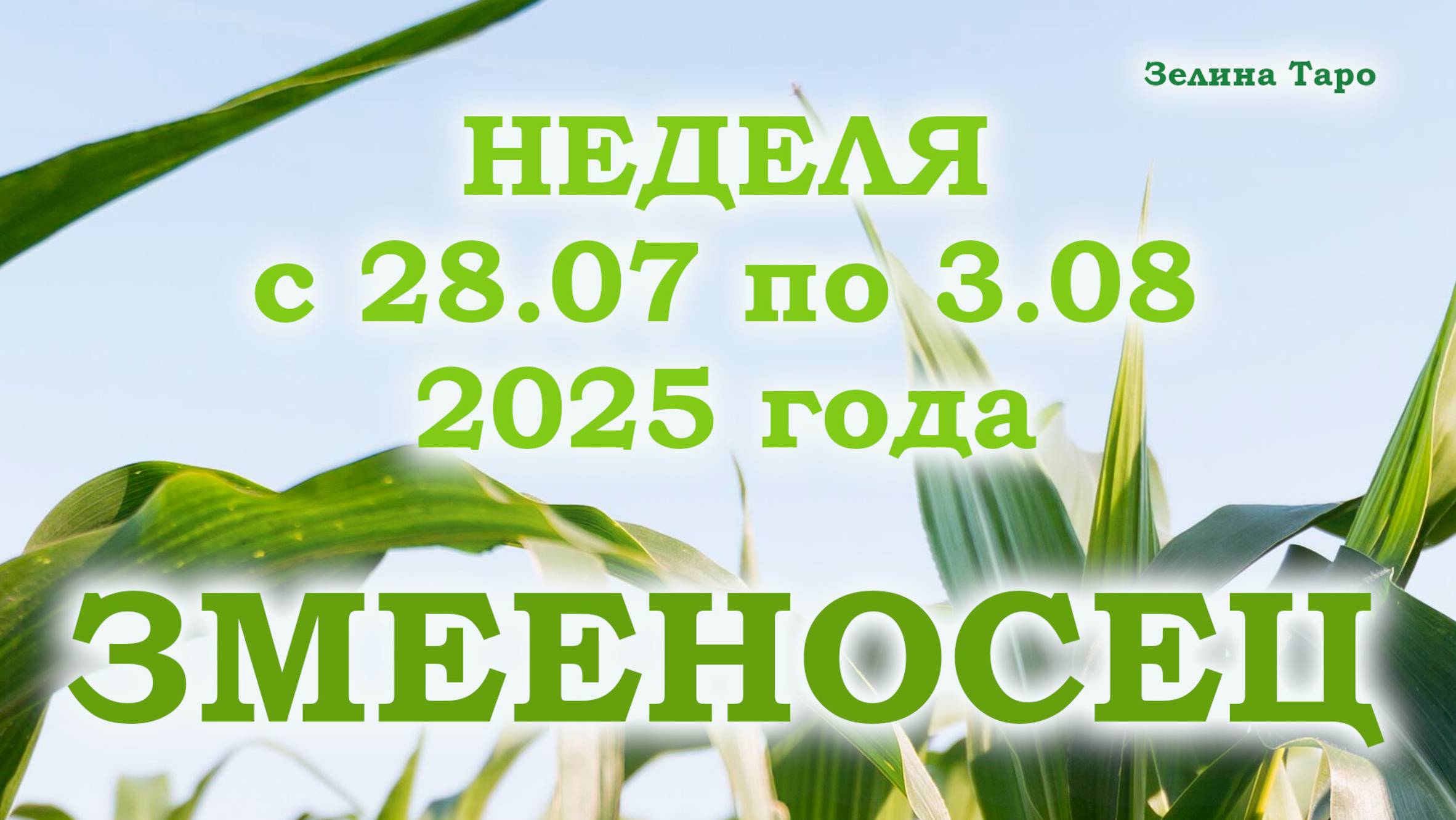 ЗМЕЕНОСЕЦ | ТАРО прогноз на неделю с 28 июля по 3 августа 2025 года