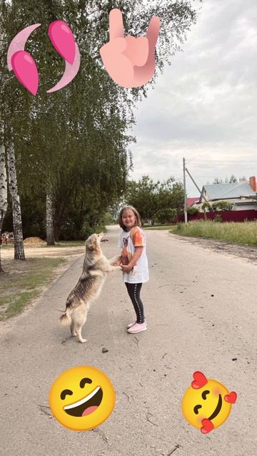 видосы про животных