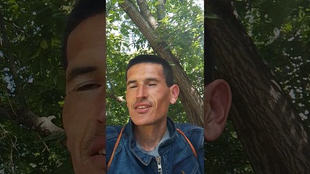 VID_20250710_093920