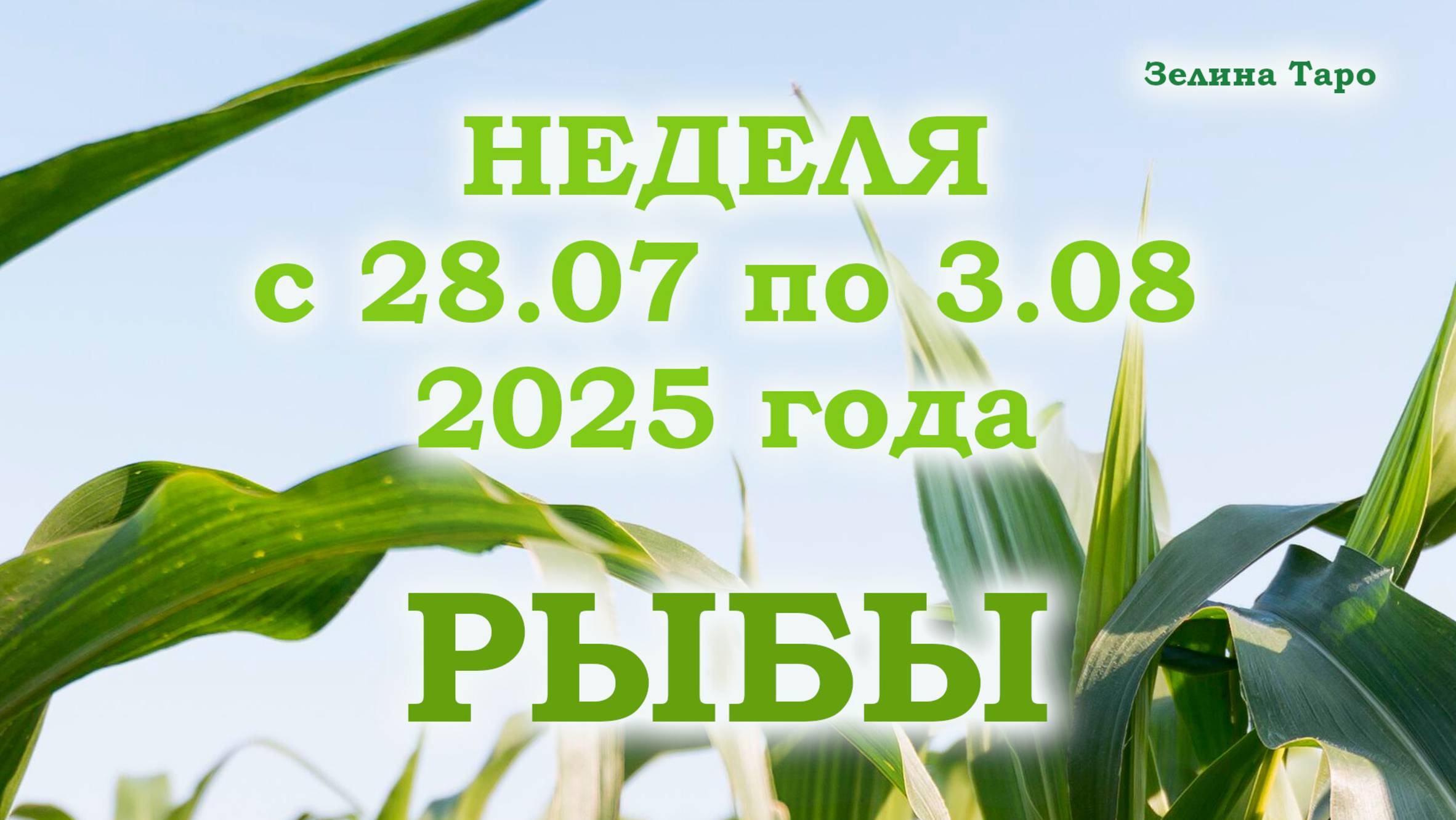 РЫБЫ | ТАРО прогноз на неделю с 28 июля по 3 августа 2025 года
