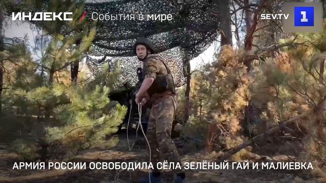 Армия России освободила сёла Зелёный Гай и Малиевка