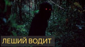 Леший водит (Мистическая история)