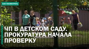 ПЕСКОМ КОРМИЛА? В детсаду Могилева жестко обошлись с детьми. Но так ли все однозначно?