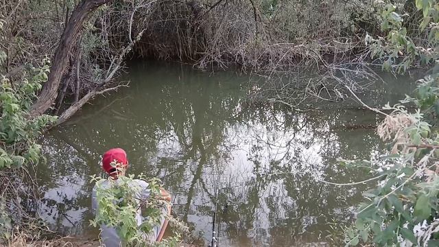 Рыбалка в Бишкеке,поймали огромную рыбу.Кыргызстан,Манас, ловим очень много рыбы