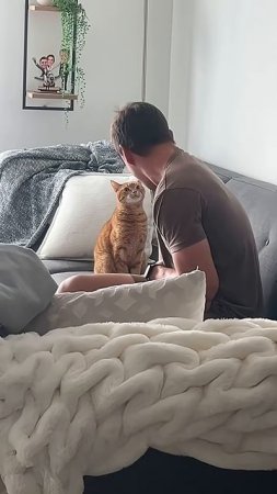 Кошки любят подражать своим хозяевам.🐈😹