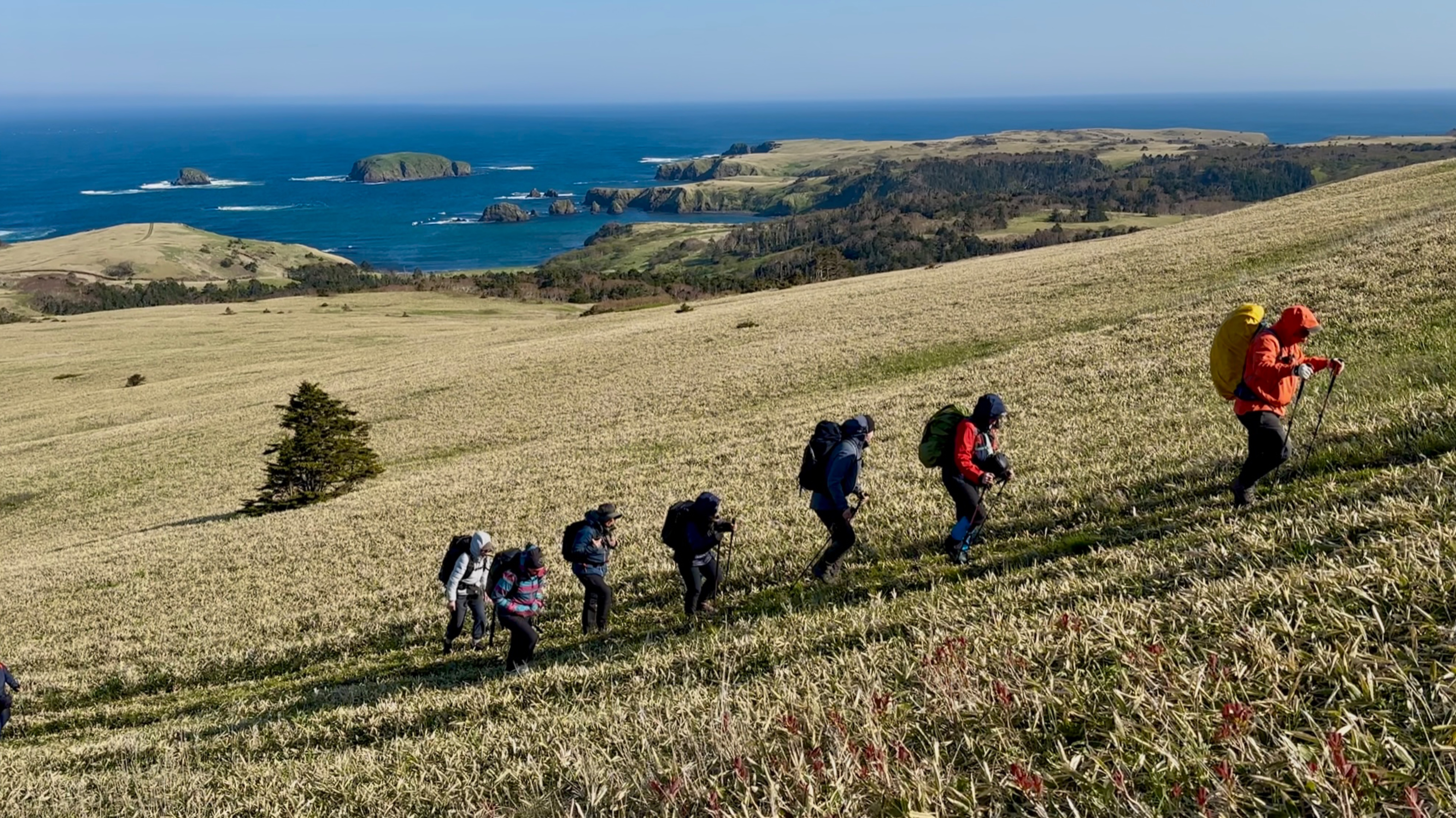 Панорама на бухты о.Шикотан вид с сопки у мыса Край Света День 8. Курильские острова 02.06.25