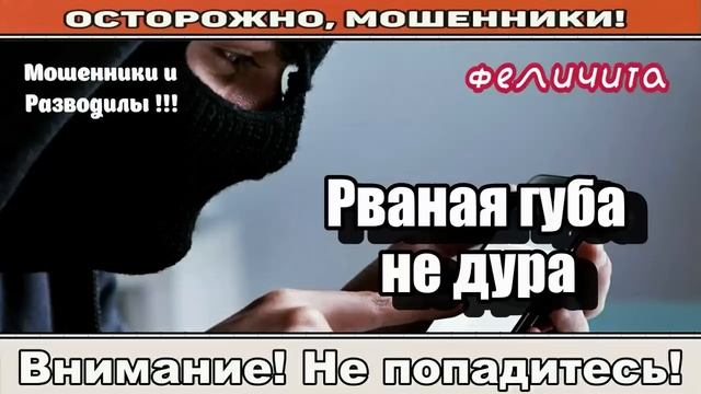 Мошенники звонят по телефону / Смех да и только, издеваюсь над мошенниками ( сборник ).