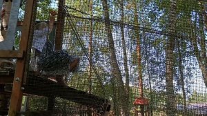 чем заняться в 60 лет