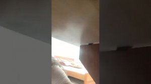 лабубу