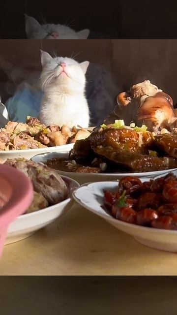 В предвкушении.. 😺