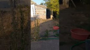 дом, милый дом
