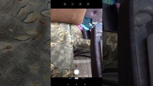 мне купили табак сквиши