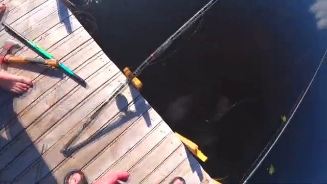 Виталик Зелёный Рыбалка в хуторе Виталика Игнатюка