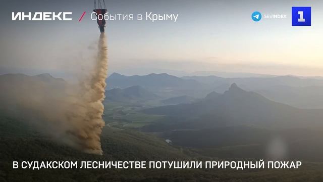 В Судакском лесничестве потушили природный пожар