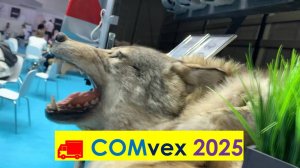 🚚 COMvex 2025 — выставка коммерческого транспорта и технологий | Адвайзеры.рф