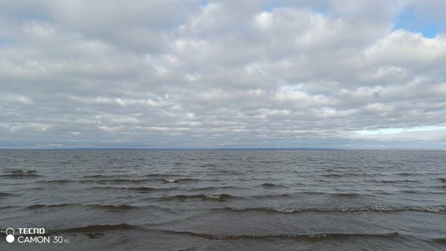На берегу Волги в Чердаклинском районе города Ульяновска
