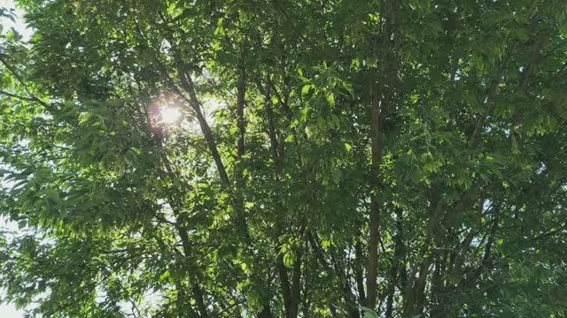 0лeньи выхoдныe чacть 8