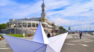 СОБИРАЕМ ГРИБЫ В ЦЕНТРЕ МОСКВЫ, БУДЕТ ЖАРЕХА ВЕЧЕРОМ