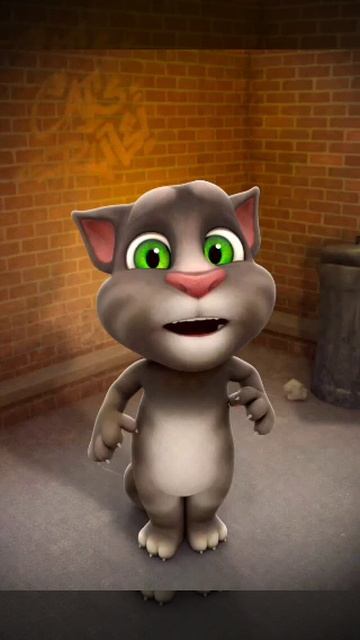 TalkingTomFree(33)