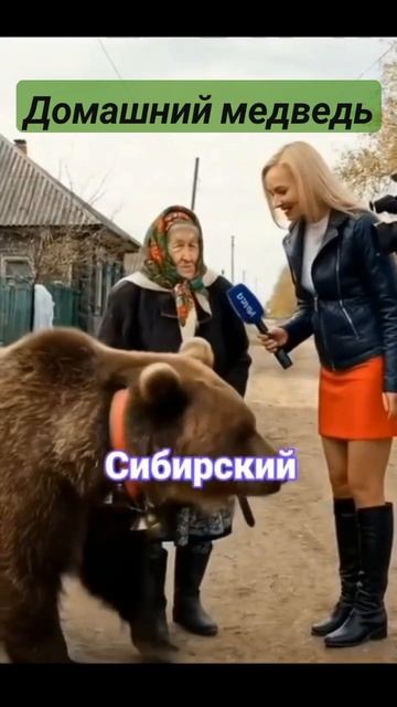 Бабка из нейросети