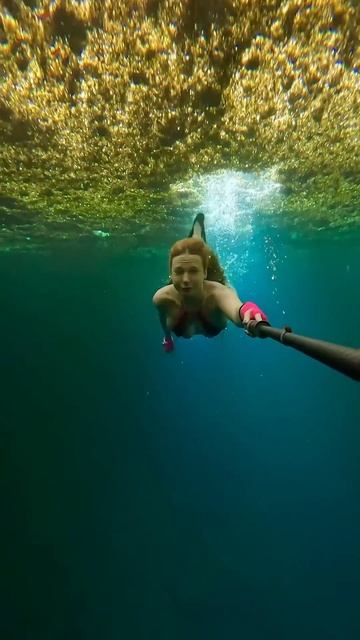 Вода и ряска