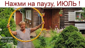 Нажми на паузу июль, ведь мы ещё не отогрелись... или КОТоБудни от 25.07.2025 г.