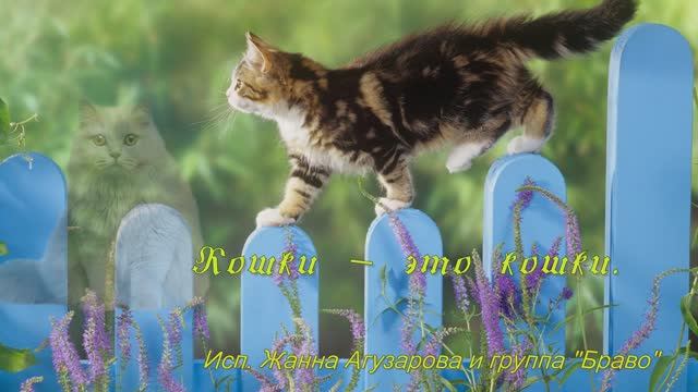 Кошки - это кошки.