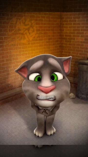 TalkingTomFree(29)