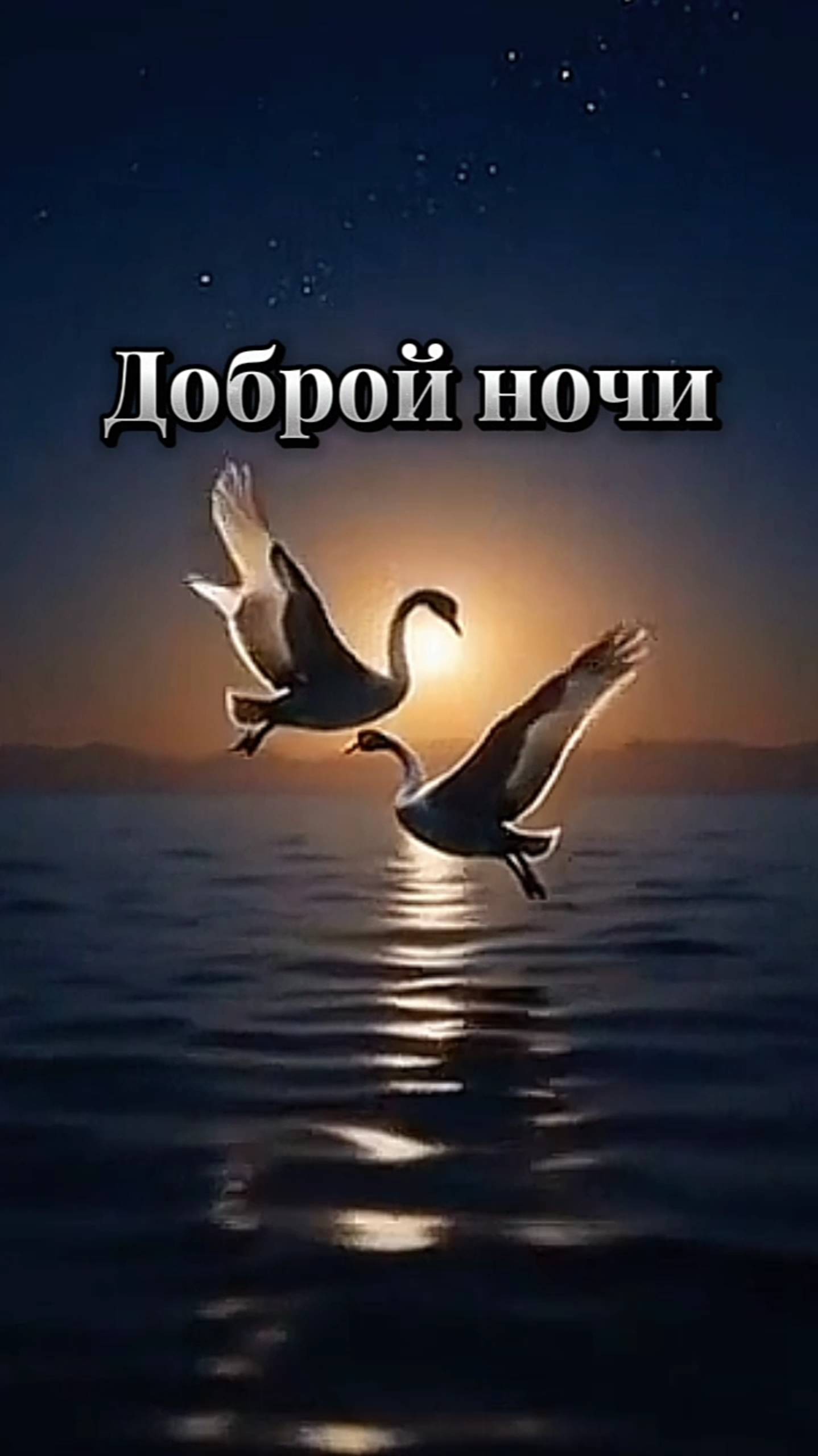 Доброй ночи