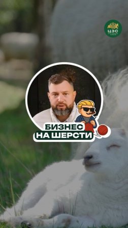 Секреты прибыльной фермы с овцами!