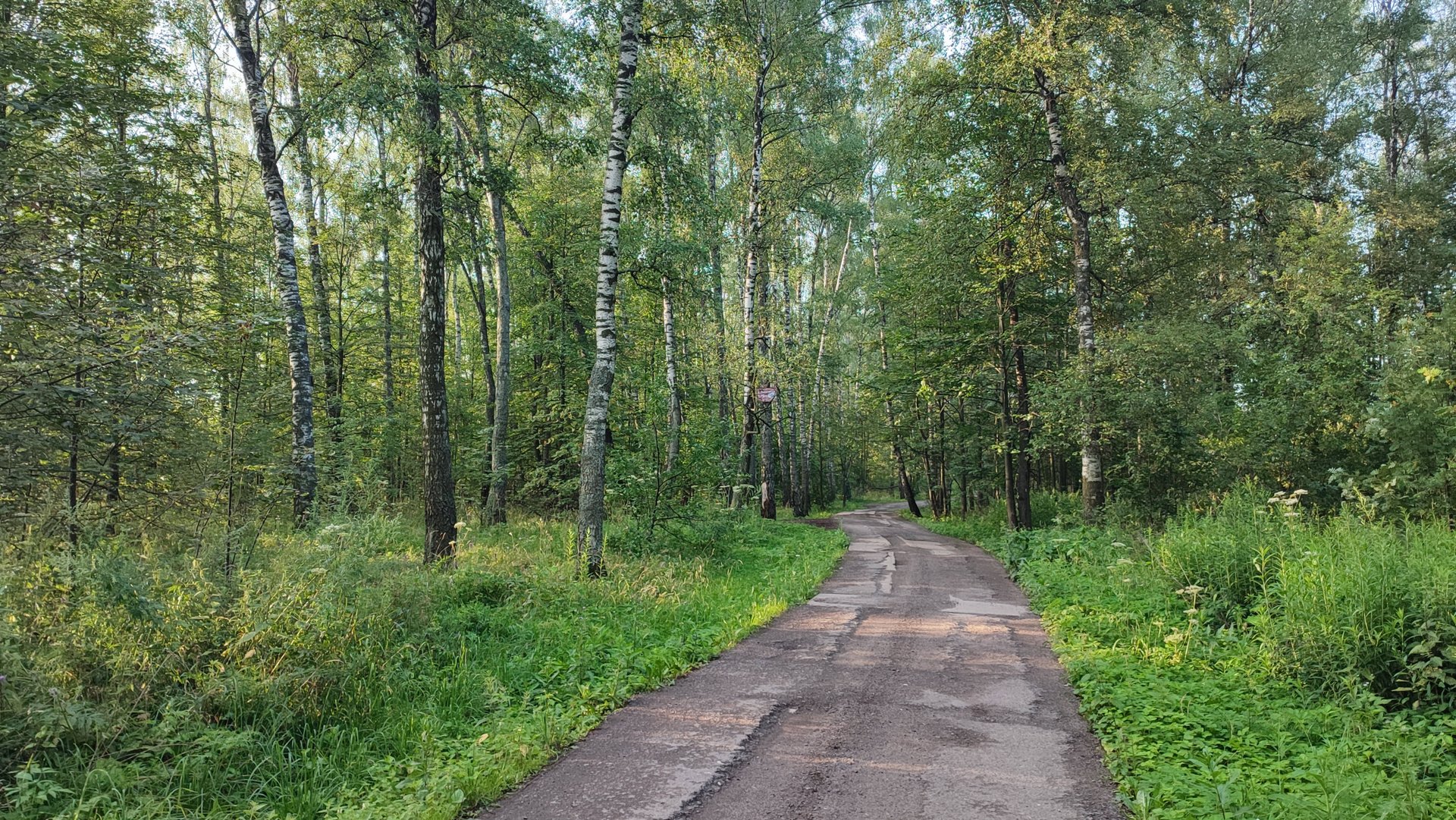 Прогулка. Завтрак, обед