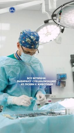 хирурги